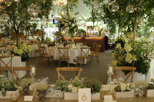 Pałac Rozalin - Rozalin - hotel, restauracja, opinie | saleweselne.com